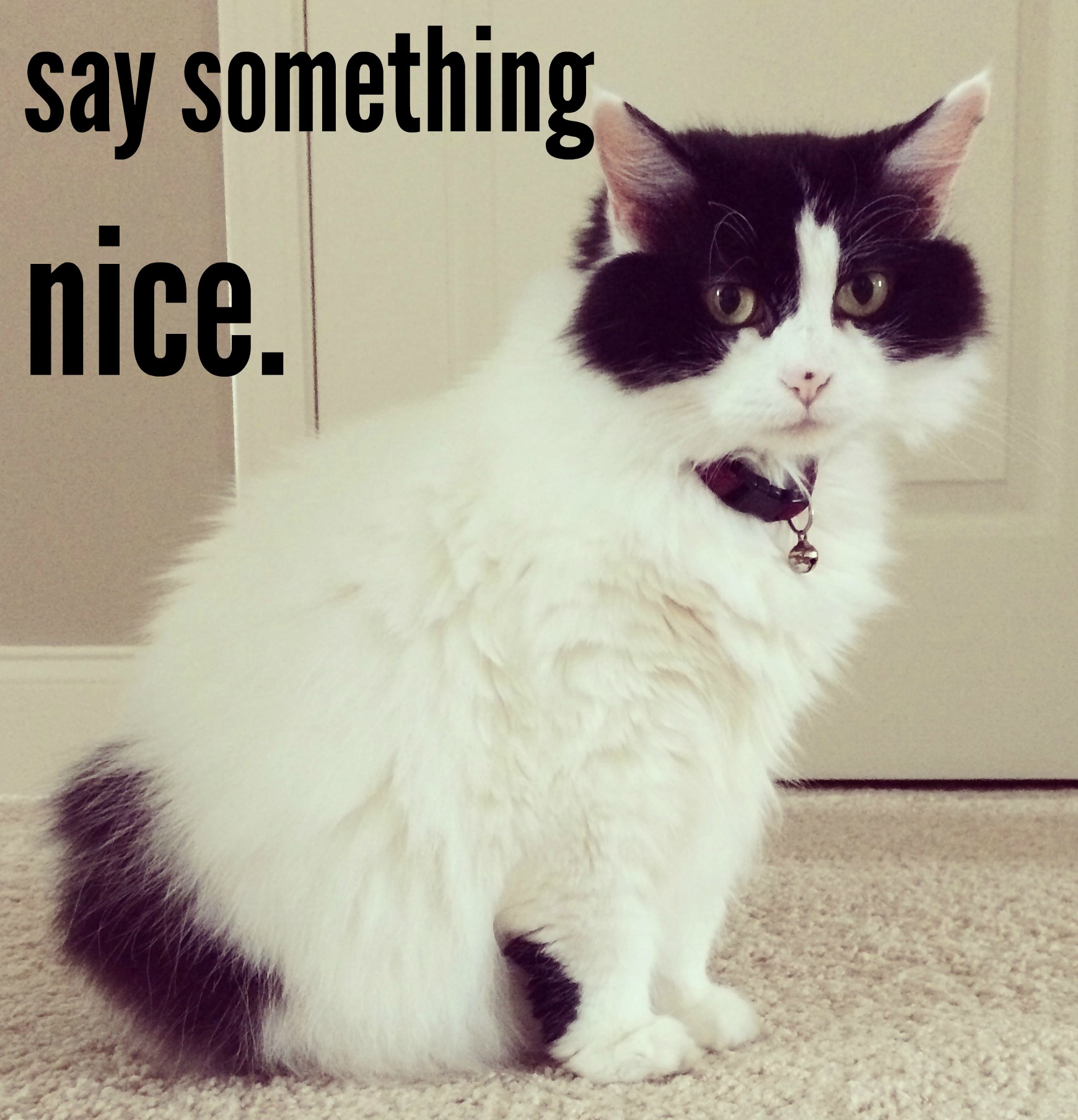 Say Something Nice – Come Home For Comfort