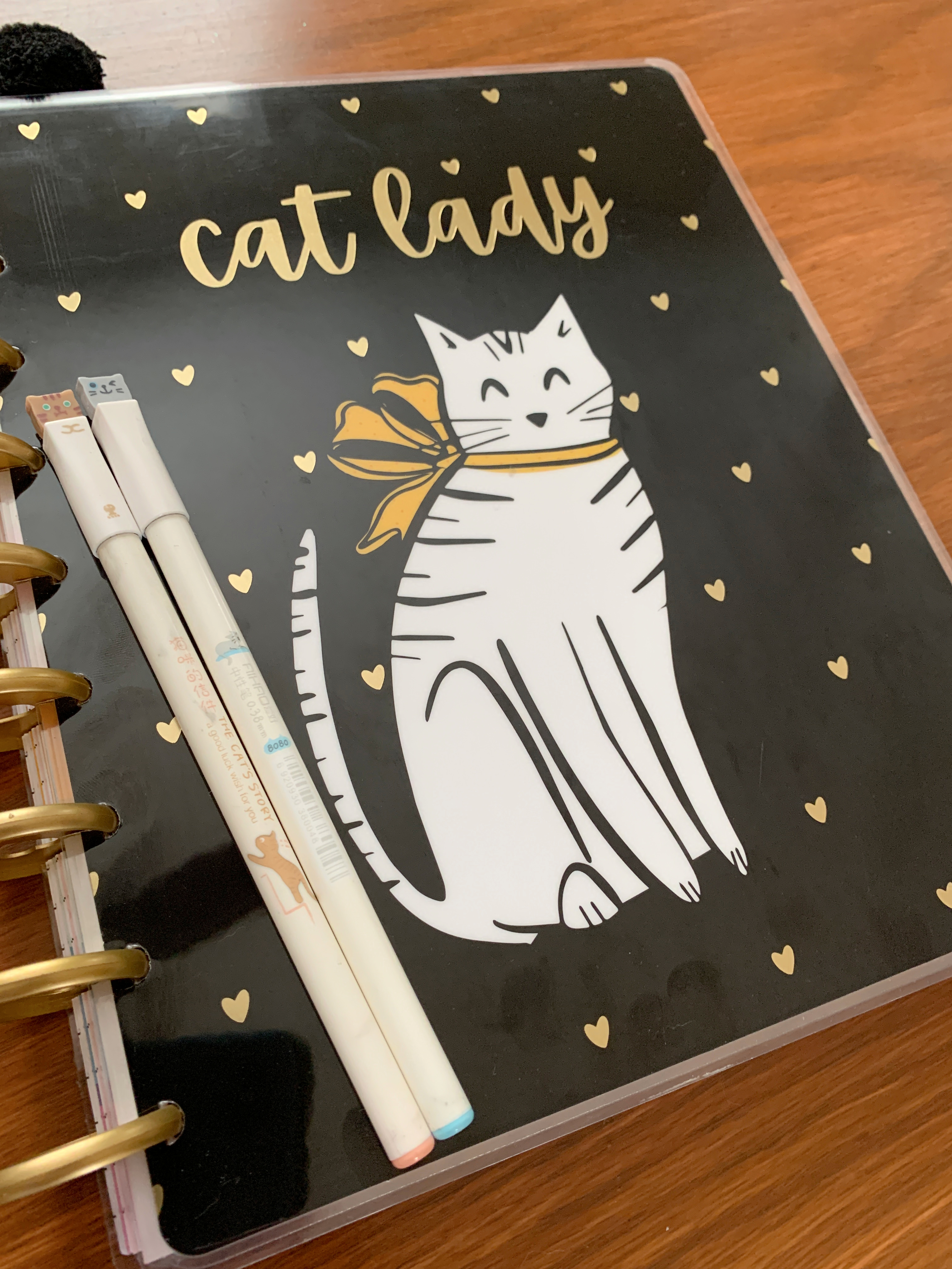 My Planner Picks for 2021: Happy Planner Cat Lady – Come Home For Comfort