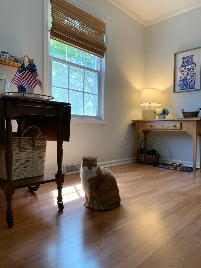 Painting Our Living Area: Project Tips and the Reveal! – Come Home For ...