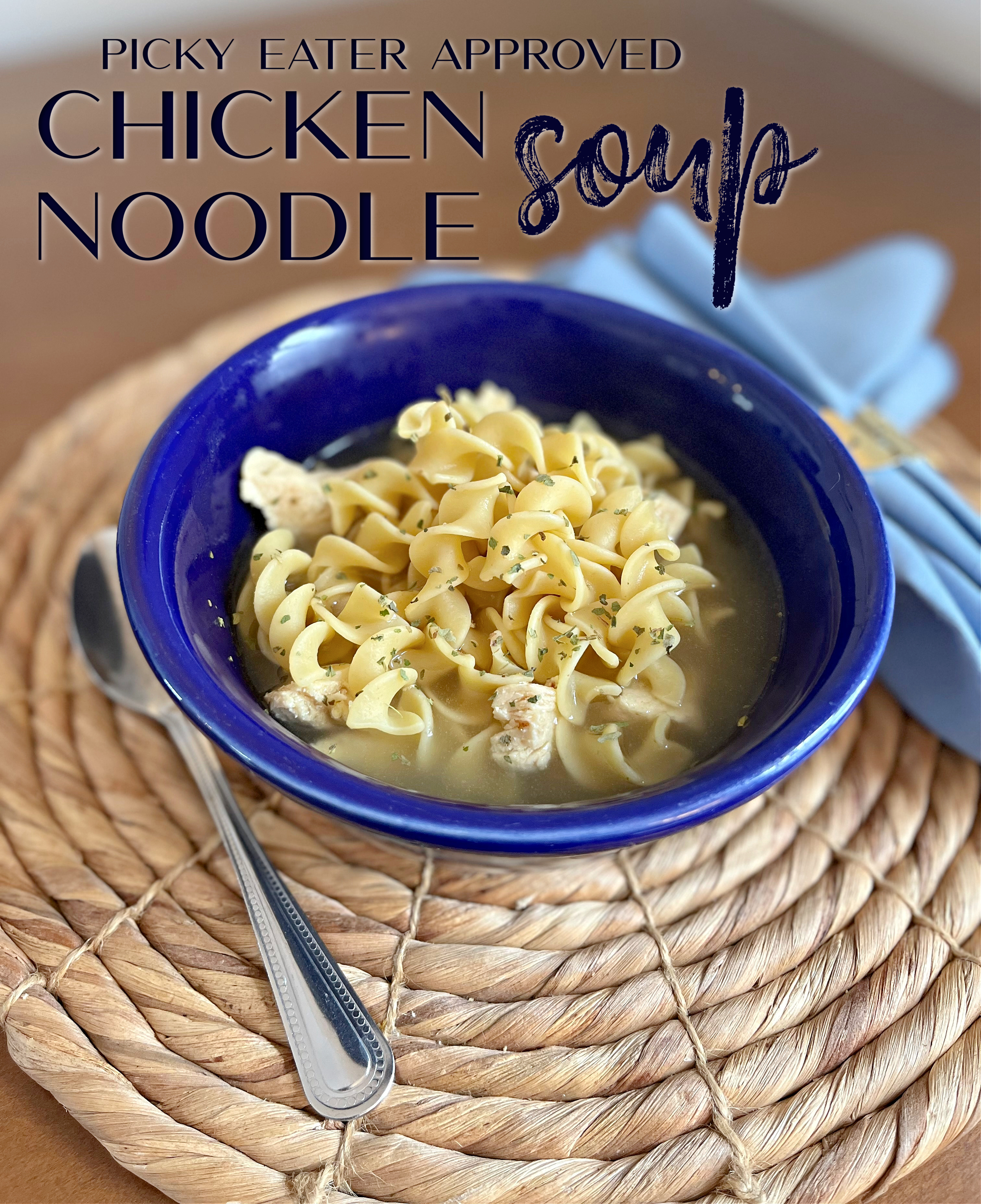 Chicken Noodle Soup: Picky Eater Approved – Come Home For Comfort