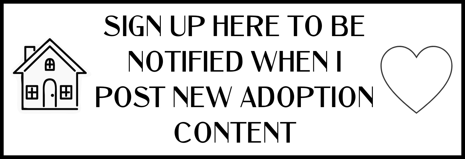 Adoption Home Study: Tips for Success! – Come Home For Comfort